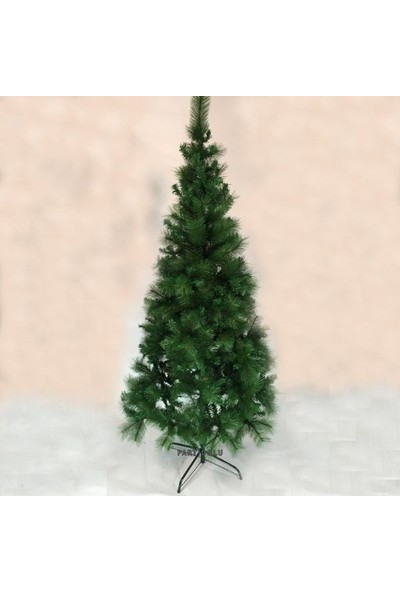 Pandoli Pinus Brutia Ten Cinsi Iğne Yapraklı 120 cm Yılbaşı Çam Ağacı Yeşil Pandoli Pinus Brutia Ten Cinsi Iğne Yapraklı 120 cm Yılbaşı Çam Ağacı Yeşil