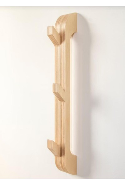 Begonvil Dekoratif Doğal Ahşap Kaktüs Askı