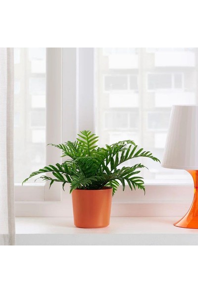 Meg Paslanmaz Çelik Renkli Metal Saksılar