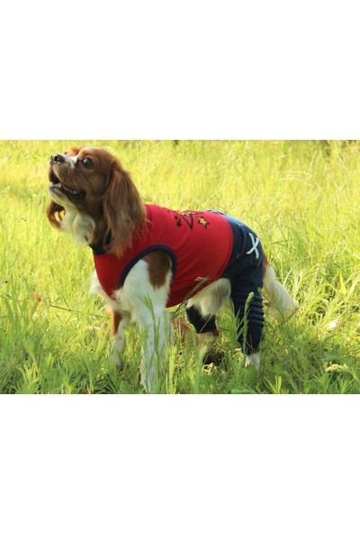 Pawstar Kırmızı Super Star Kedi Köpek Tulumu Kedi Köpek Kıyafeti L Pawstar Kırmızı Super Star Kedi Köpek Tulumu Kedi Köpek Kıyafeti L