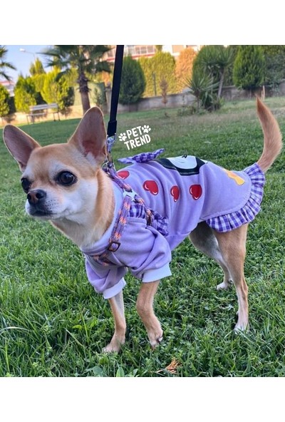 Pawstar Lila Penguen Kedi Köpek Elbisesi Kedi Köpek Kıyafeti L