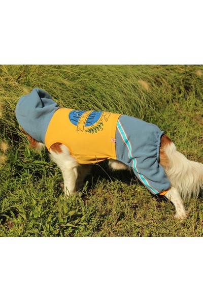 Pawstar Sarı The World Tulum Kedi Köpek Tulumu Kedi Köpek Kıyafeti L Pawstar Sarı The World Tulum Kedi Köpek Tulumu Kedi Köpek Kıyafeti L