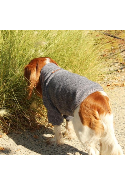 Pawstar Gri Triko Sweat Kedi Köpek Sweat Kedi Köpek Kıyafeti S