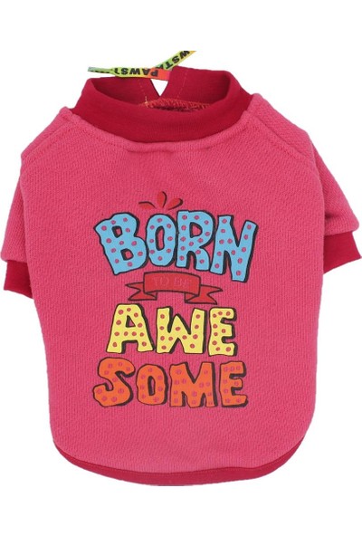 Pawstar Pembe Awesome Sweat Kedi Köpek Sweat Kedi Köpek Kıyafeti Xl Pawstar Pembe Awesome Sweat Kedi Köpek Sweat Kedi Köpek Kıyafeti Xl