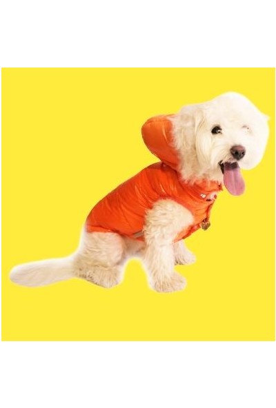 Pawstar Turuncu Moncler Yelek Kedi Köpek Yelek Kedi Köpek Kıyafeti S Pawstar Turuncu Moncler Yelek Kedi Köpek Yelek Kedi Köpek Kıyafeti S