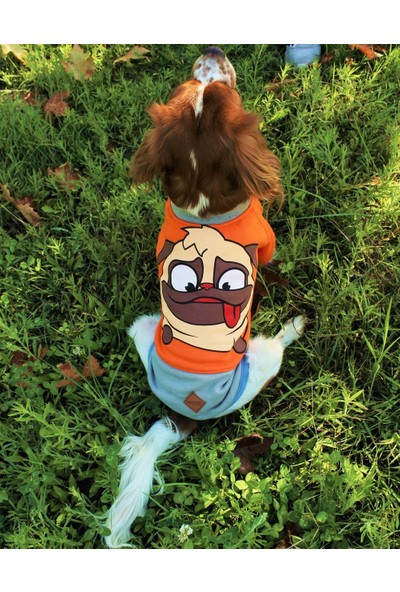 Pawstar Turuncu Pug Sweat Kedi Köpek Sweat Kedi Köpek Kıyafeti M