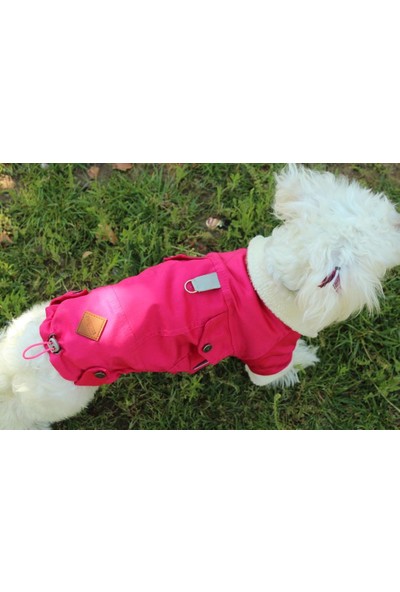 Pawstar Vişne Gabardin Ceket Kedi Köpek Yelek Kedi Köpek Kıyafeti S Pawstar Vişne Gabardin Ceket Kedi Köpek Yelek Kedi Köpek Kıyafeti S