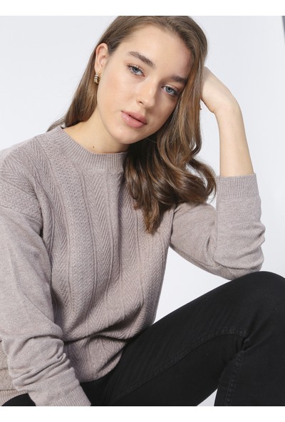 Fabrika Bisiklet Yaka Basic Vizon Kadın Kazak Fabrika Bisiklet Yaka Basic Vizon Kadın Kazak