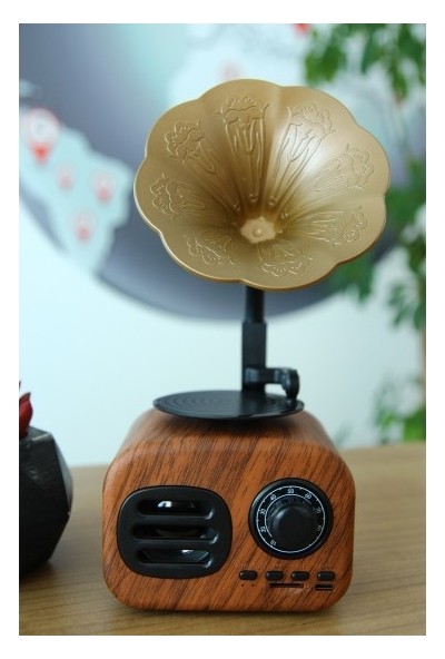 Loggia B5 Nostaljik Mini Retro Dizayn Gramafon Radyo USB Aux Bluetooth Radyo Loggia B5 Nostaljik Mini Retro Dizayn Gramafon Radyo USB Aux Bluetooth Radyo