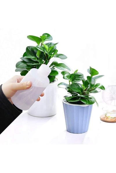 Plazma Plastik Sıkma Tipi Çiçek Sulama ve Yıkama Şişesi 500 ml