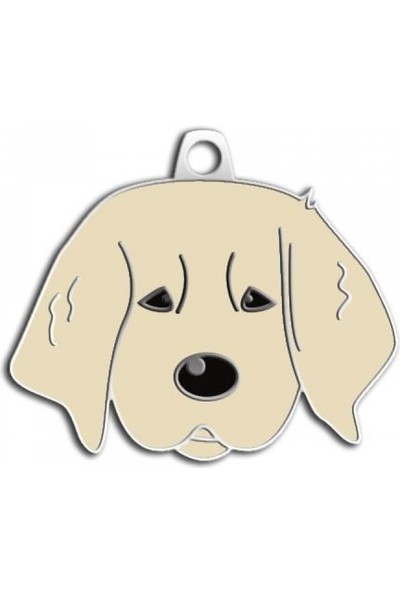 Evimdeyokyok Yavru Golden Köpek Künyesi