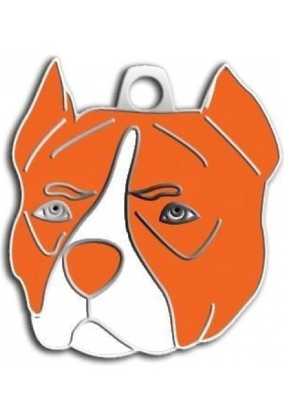 Evimdeyokyok Pitbull Köpek Künyesi