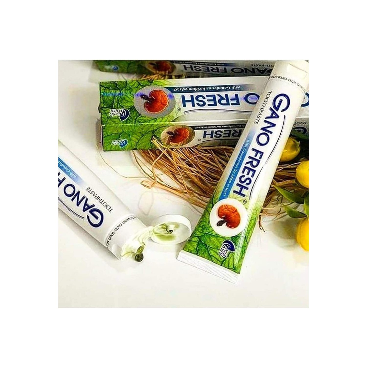 Gano Excel Gano Excel Gano Fresh Gano Diş Macunu Gano Excel Fiyatı