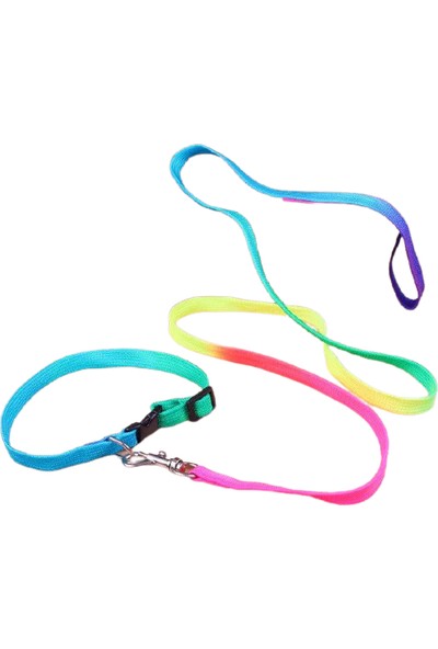 Mixpet Küçük Irk Köpek Gökkuşağı Boyun Tasması + Gezdirme 1X120 cm