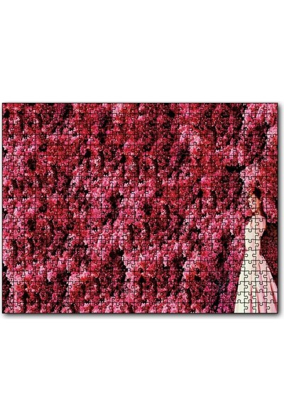 Cakapuzzle Audrey Hepburn Kırmızı Çiçekler Önünde 255 Parça Puzzle Yapboz Mdf (Ahşap)