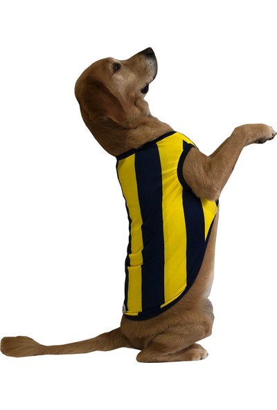 Sosyal Patiler Sarı Lacivert Köpek Forması Sosyal Patiler Sarı Lacivert Köpek Forması
