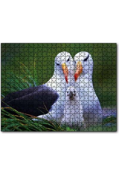 Cakapuzzle Albatross Kuşu Ailesi 120 Parça Puzzle Yapboz Mdf (Ahşap) Cakapuzzle Albatross Kuşu Ailesi 120 Parça Puzzle Yapboz Mdf (Ahşap)