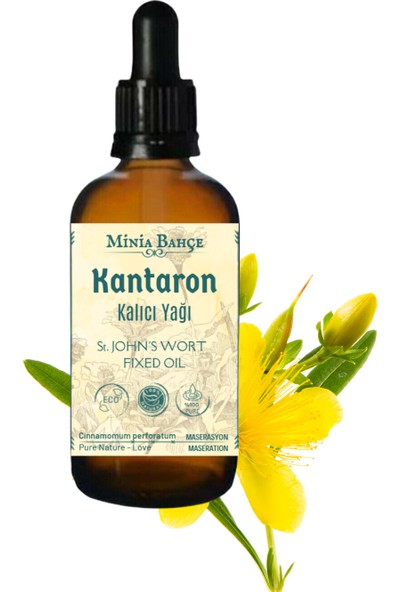 Sarı Kantaron Yağı Kalıcı Yağ 30 ml Sarı Kantaron Yağı Kalıcı Yağ 30 ml