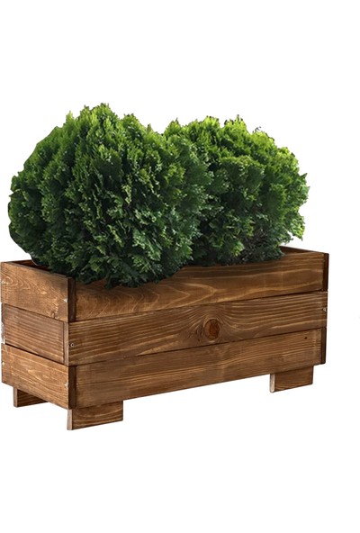 Weblonya Saksı Ahşap Saksılık Büyük Boy Saksı Stand Çiçeklik 2005 Weblonya Saksı Ahşap Saksılık Büyük Boy Saksı Stand Çiçeklik 2005
