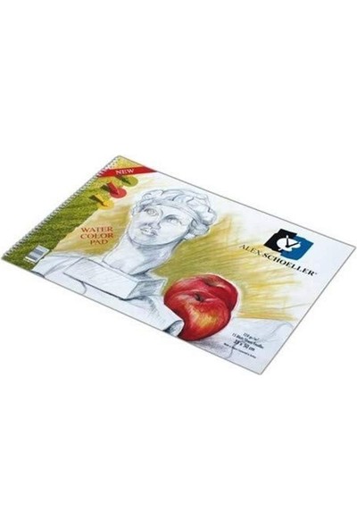 Ale x Schoeller Resim ve Eskiz Çizim Defteri 120 gr 35 x 50 cm 15 Yp.
