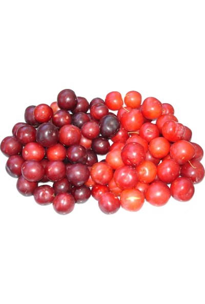 Sebze Meyve Dünyası Dağ Eriği 1 kg