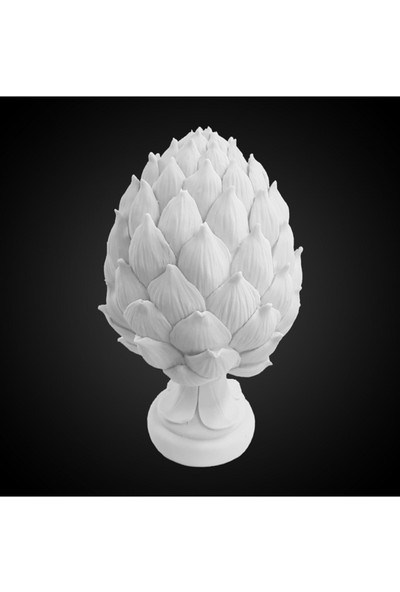 Ankara Hobi Enginar Ankara Hobi Enginar