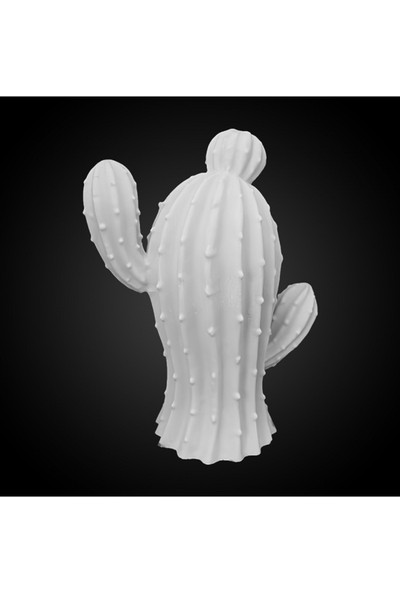 Ankara Hobi Kaktüs (Büyük Boy)