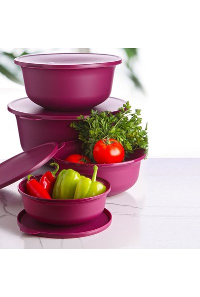 Vienev Tupy Kapaklı Kase 4lü Set Mor