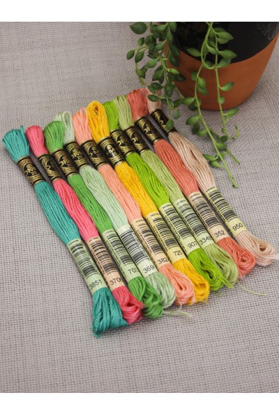 DMC Nakış Etamin Kanaviçe İplik Seti Set 1