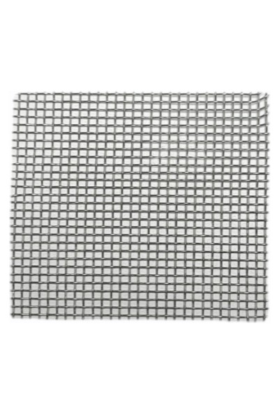 Marimo Scape Moss Teli 10'lu 5 x 5 cm