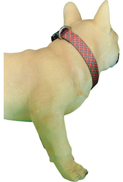 BYPET Neopren Kaplamalı Ayarlanabilir Köpek Boyun Tasması Damalı Kırmızı