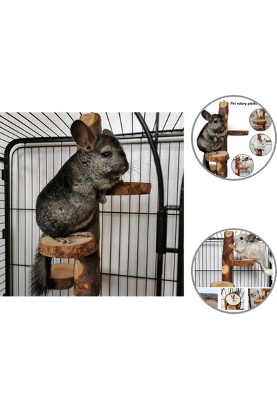 Codenoone Küçük Evcil Hayvan Platformu (Yurt Dışından) Codenoone Küçük Evcil Hayvan Platformu (Yurt Dışından)