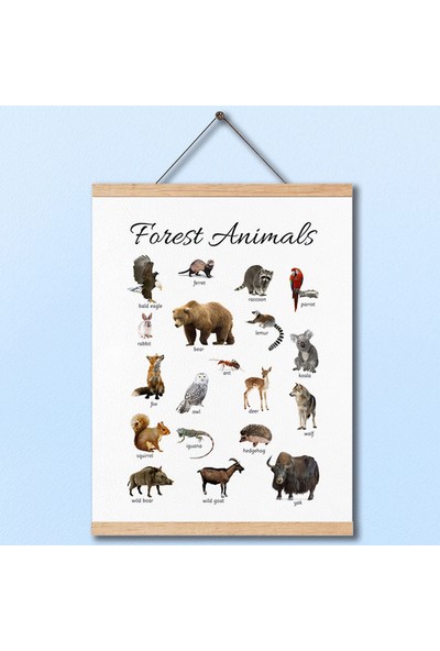 DekorLoft Dekor Loft Montessori Ingilizce Eğitici Pu Deri Çocuk Odası Duvar Posteri, Orman Hayvanları DekorLoft Dekor Loft Montessori Ingilizce Eğitici Pu Deri Çocuk Odası Duvar Posteri, Orman Hayvanları