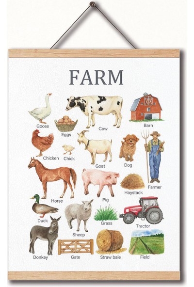 DekorLoft Dekor Loft Montessori Ingilizce Eğitici Poster Çiftlik Hayvanları DekorLoft Dekor Loft Montessori Ingilizce Eğitici Poster Çiftlik Hayvanları