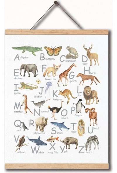 DekorLoft Dekor Loft Montessori Ingilizce Eğitici Poster Hayvan Alfabesi DekorLoft Dekor Loft Montessori Ingilizce Eğitici Poster Hayvan Alfabesi