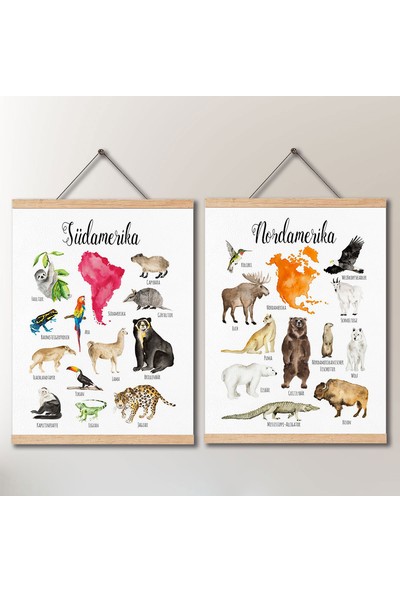 DekorLoft Montessori Almanca Eğitici Poster, Kuzey Amerika ve Güney Amerika Kıtası Hayvanları DekorLoft Montessori Almanca Eğitici Poster, Kuzey Amerika ve Güney Amerika Kıtası Hayvanları