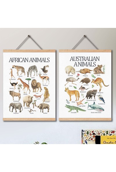 DekorLoft Montessori Ingilizce Eğitici Poster, Afrika ve Avustralya Kıtası Hayvanları DekorLoft Montessori Ingilizce Eğitici Poster, Afrika ve Avustralya Kıtası Hayvanları