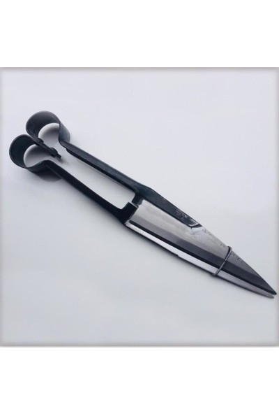 Ege Güven Koyun Kırklığı