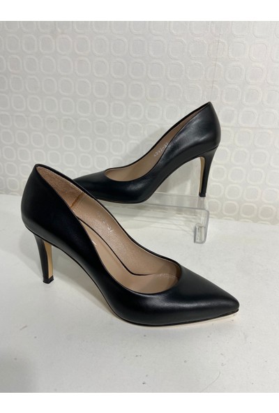 Zondersan67 Ucc Zondersan 67 Nısh Exclusive 4292 Stıletto