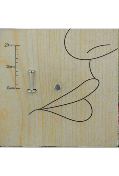 Takıdan Yuvarlak Cerrahi Çelik Kıkırdak Tragus Dudak Piercing Takıdan Yuvarlak Cerrahi Çelik Kıkırdak Tragus Dudak Piercing