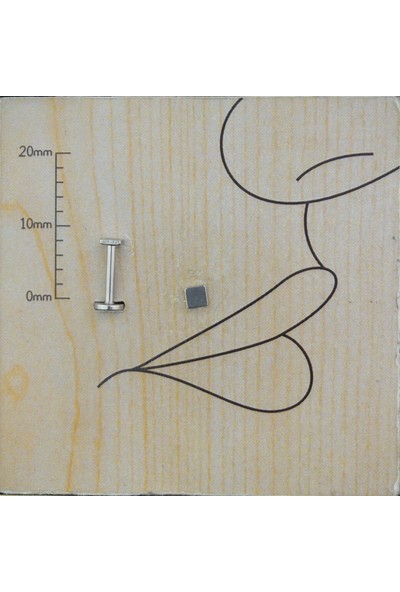 Takıdan Kare Cerrahi Çelik Kıkırdak Tragus Dudak Piercing Takıdan Kare Cerrahi Çelik Kıkırdak Tragus Dudak Piercing