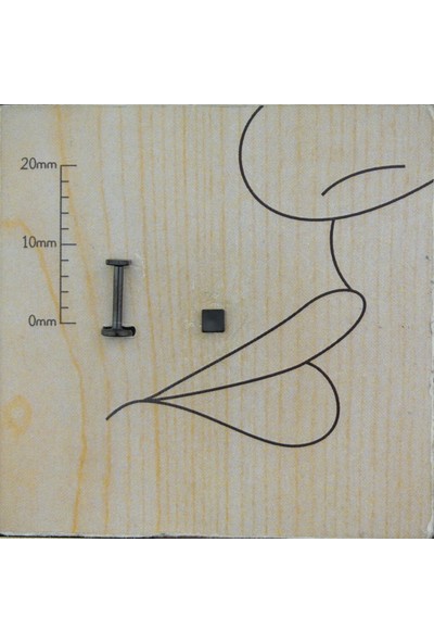 Takıdan Kare Cerrahi Çelik Kıkırdak Tragus Dudak Piercing Takıdan Kare Cerrahi Çelik Kıkırdak Tragus Dudak Piercing