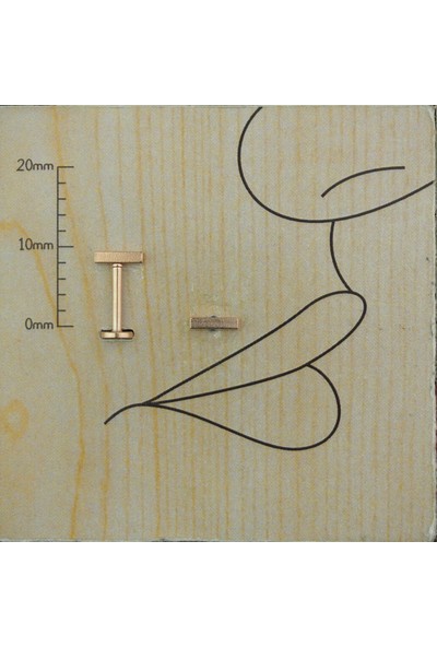 Takıdan Dikdörtgen Cerrahi Çelik Kıkırdak Tragus Dudak Piercing Takıdan Dikdörtgen Cerrahi Çelik Kıkırdak Tragus Dudak Piercing