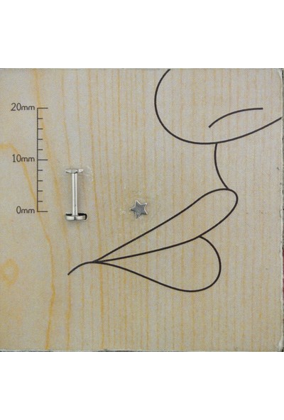 Takıdan Yıldız Cerrahi Çelik Kıkırdak Tragus Dudak Piercing