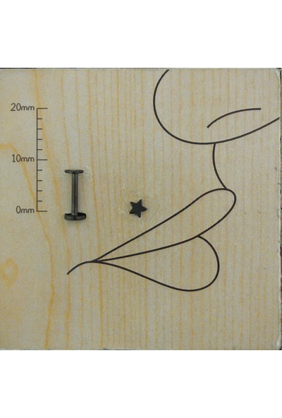 Takıdan Yıldız Cerrahi Çelik Kıkırdak Tragus Dudak Piercing Takıdan Yıldız Cerrahi Çelik Kıkırdak Tragus Dudak Piercing