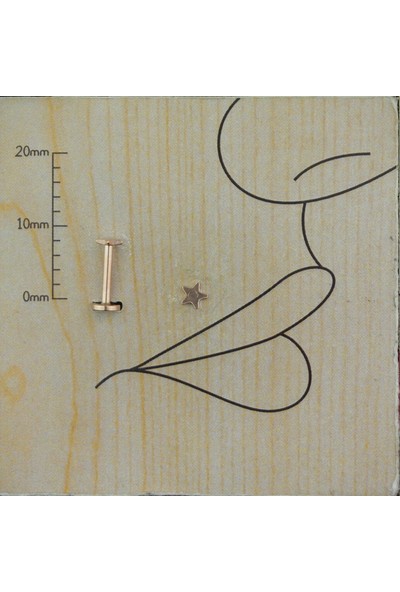 Takıdan Yıldız Cerrahi Çelik Kıkırdak Tragus Dudak Piercing