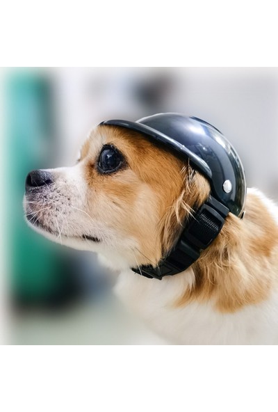 Charge Pet Köpek Bisiklet Kaskı