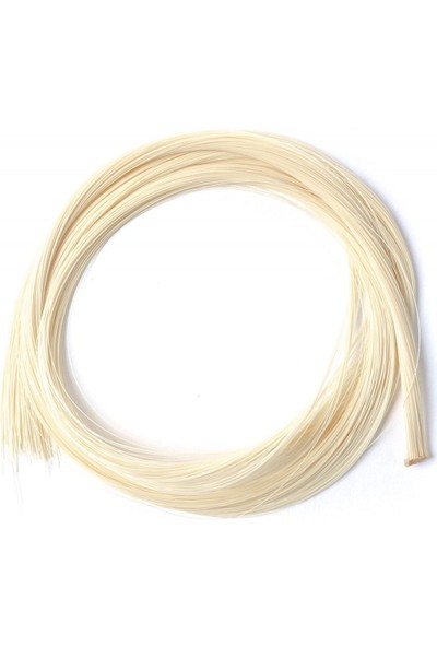 Carlovy Cvbh Keman Yay Kıl