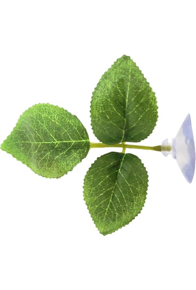 Charge Akvaryum Vantuzlu Balık Dinlenme Yaprağı