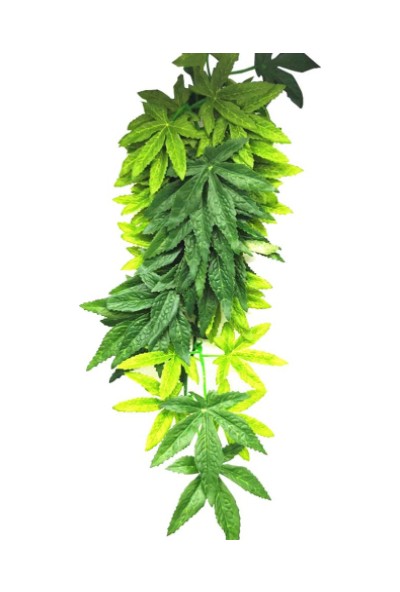 Charge Akvaryum Süsleme Yeşil Yapraklı Bitki Dekor